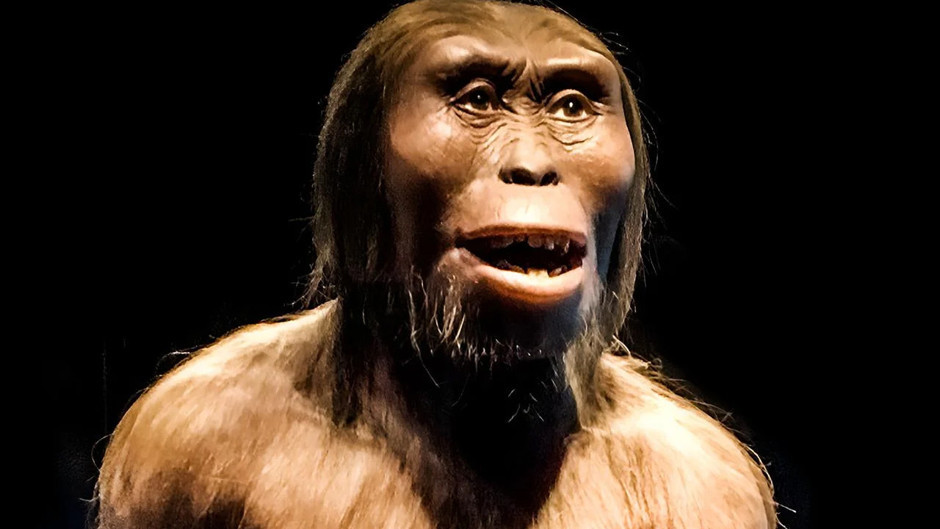 Tarihi değiştiren keşif: İnsanlığın "kayıp halkası" Lucy tahtından ...